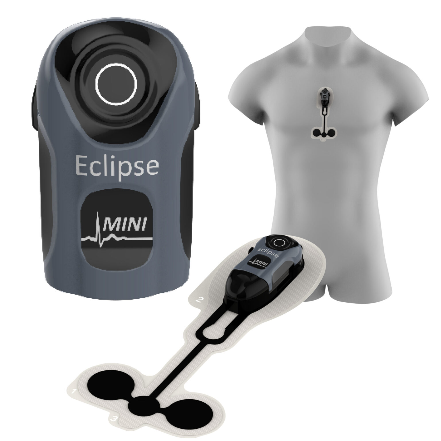 Revolucionamos el Monitoreo Cardíaco: Presentamos el Nuevo Servicio de ...